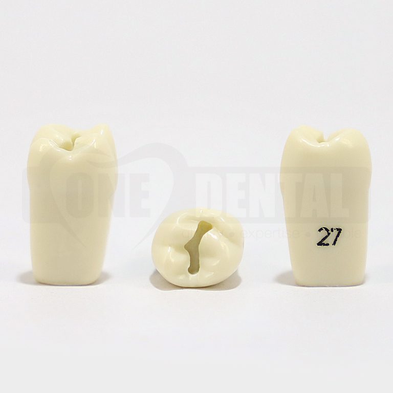 Prep Tooth 27 OCC for ADC Model - One Dental