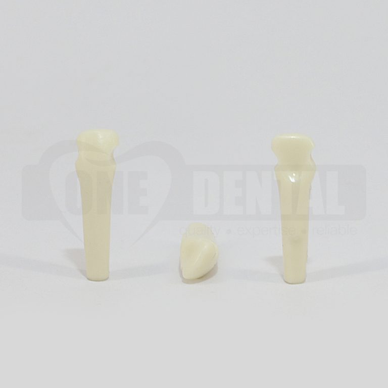Prep Tooth 22 MD- Mesial & Distal for 2010 Adult Model - One Dental
